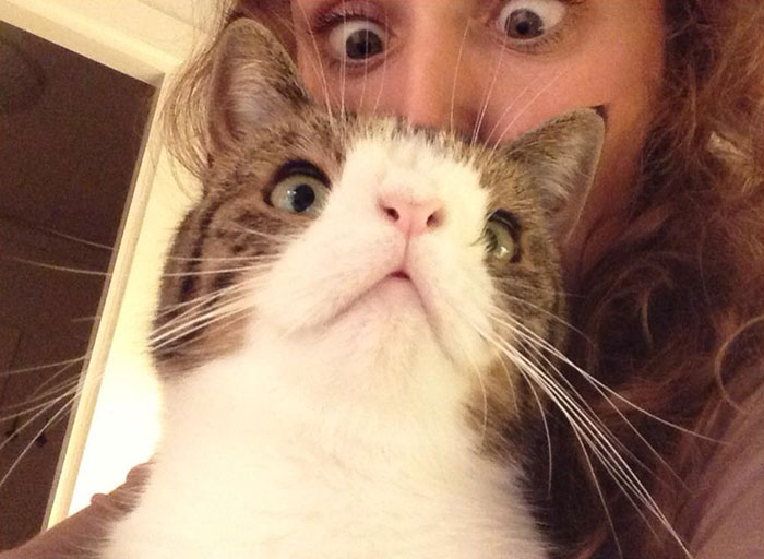 Meet Monty: The Adorable Cat With An Unusual Face - Parhlo