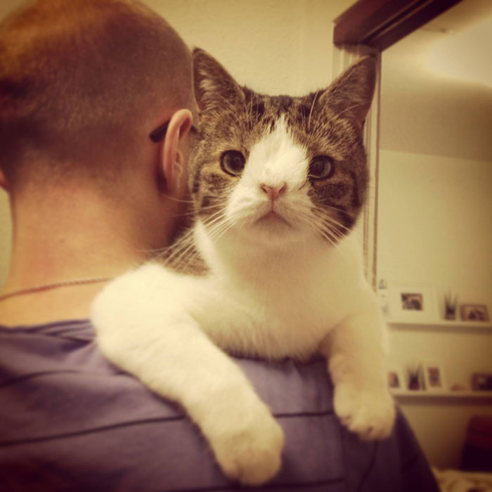 Meet Monty: The Adorable Cat With An Unusual Face - Parhlo