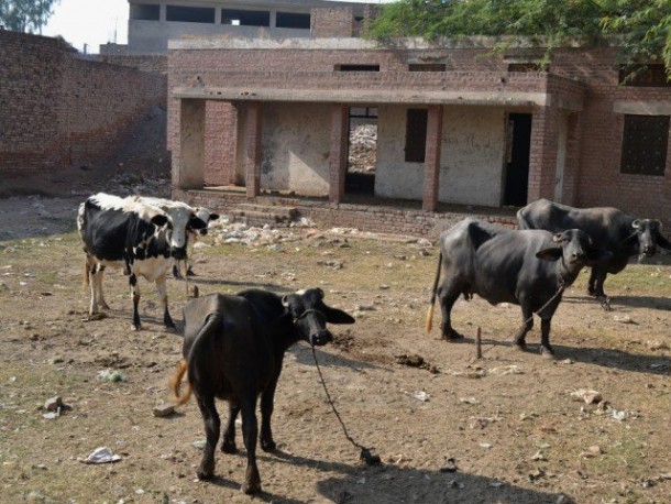 7 Types Of Extremely Scary Ghosts You Will Only Find In Pakistan - Parhlo