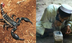 The Unnoticed Side-Effects Of The Ever-Rising Hashish Culture In Pakistan