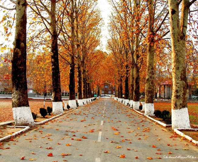6 Colleges From Different Parts of Pakistan You Definitely Need to See Once