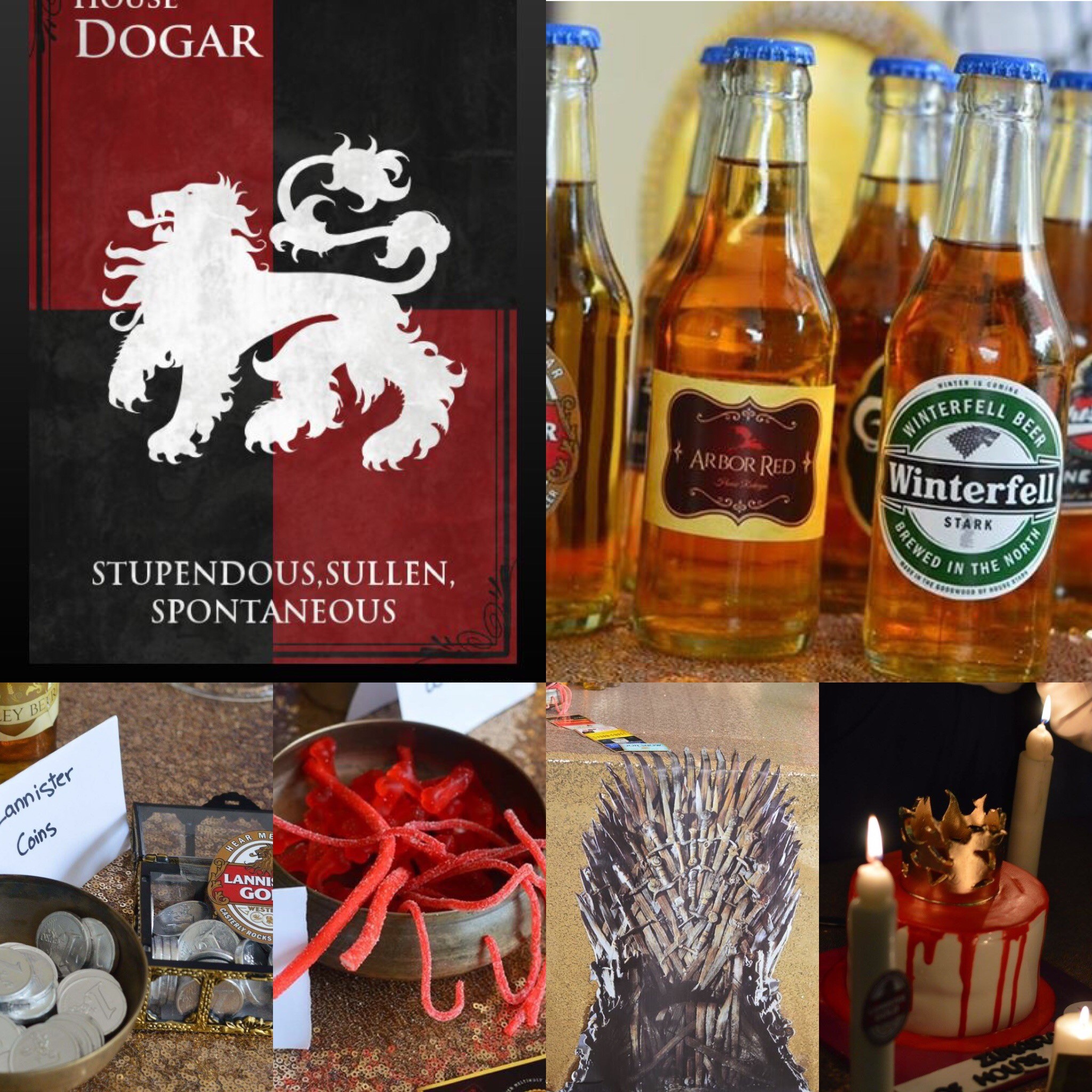 How To Have An Epic Game of Thrones Themed Party?