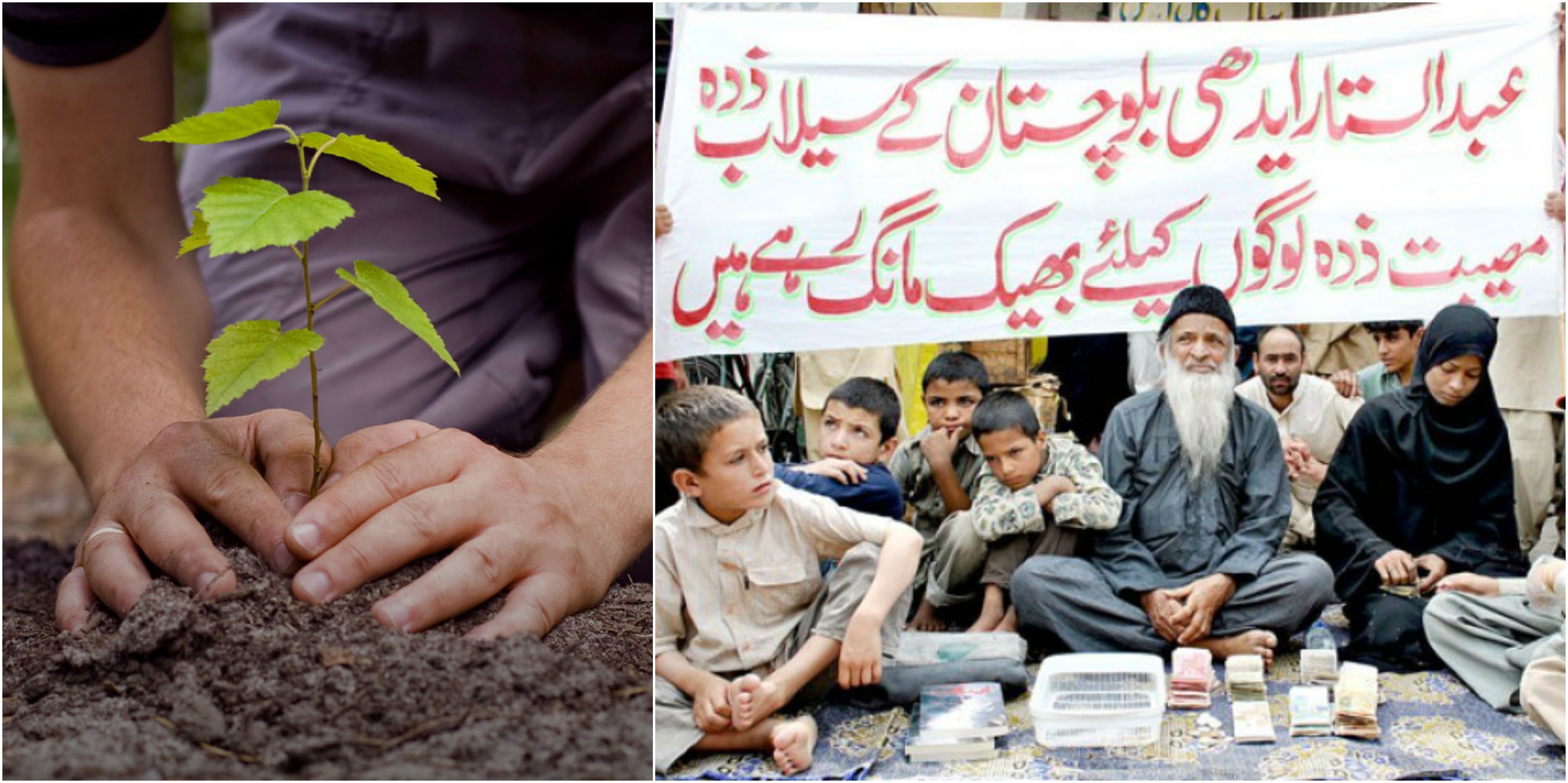 5 Rewarding Ways To Work Towards Sadqa e Jaariya