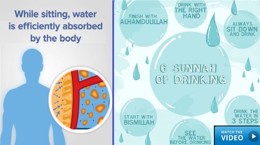 VIDEO: Science Says Yes To The Islamic Sunnah Way Of Drinking Water