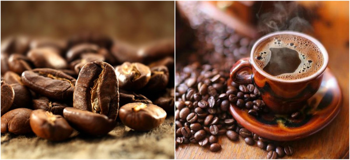 For All Coffee Lovers That Will Help You Pick The Best Beans!