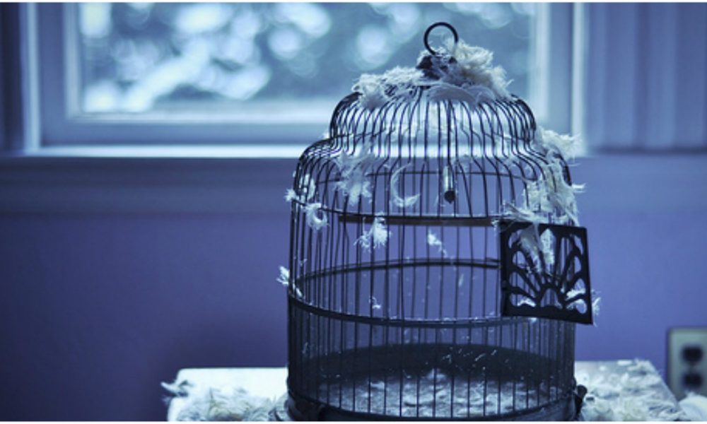 Caged Bird Poem