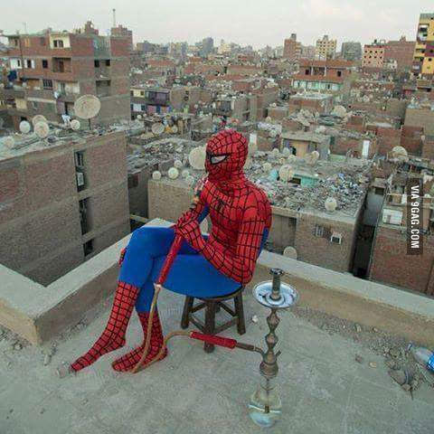 Man Marked The Most Unique Protest By Dressing Up As Spiderman
