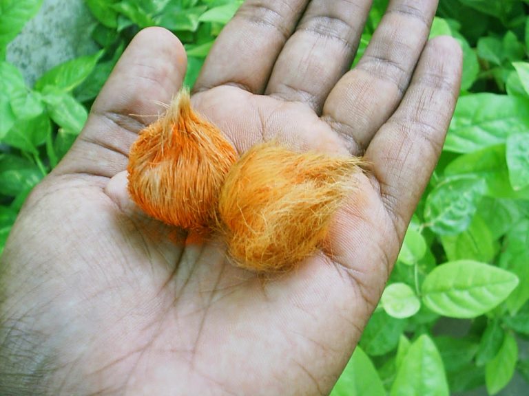 Everything You Need To Know About The Legend Behind 'Geedar Singhi'