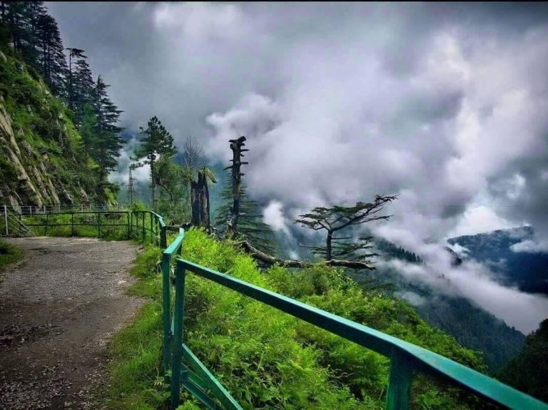 Travel Log: An Unforgettable Hiking Trip To Murree