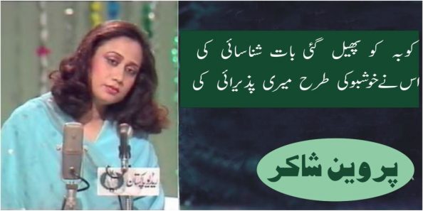 Here's Everything You Need To Know About The Legend Parveen Shakir