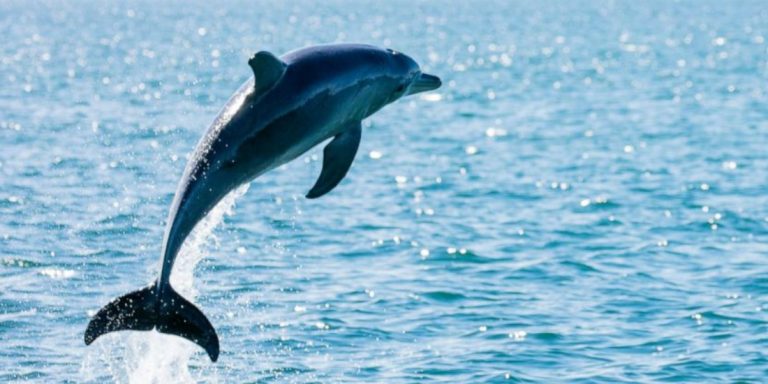 Pakistanis Are Roasting This Famous Singer Who Had A ‘Sexually ...