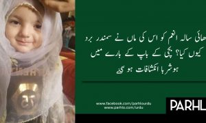 Here's Everything You Need To Know About The Legend Behind 'Geedar Singhi'