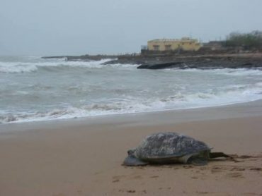 Top 10 Places To Visit In Karachi To Make Your Weekend Exciting|Parhlo.com