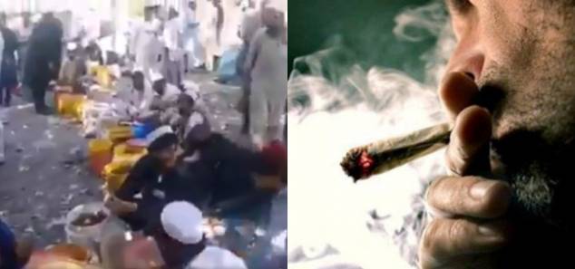 KP Sets A New Bar By Hosting A 'Charas' Expo In Terah Valley!