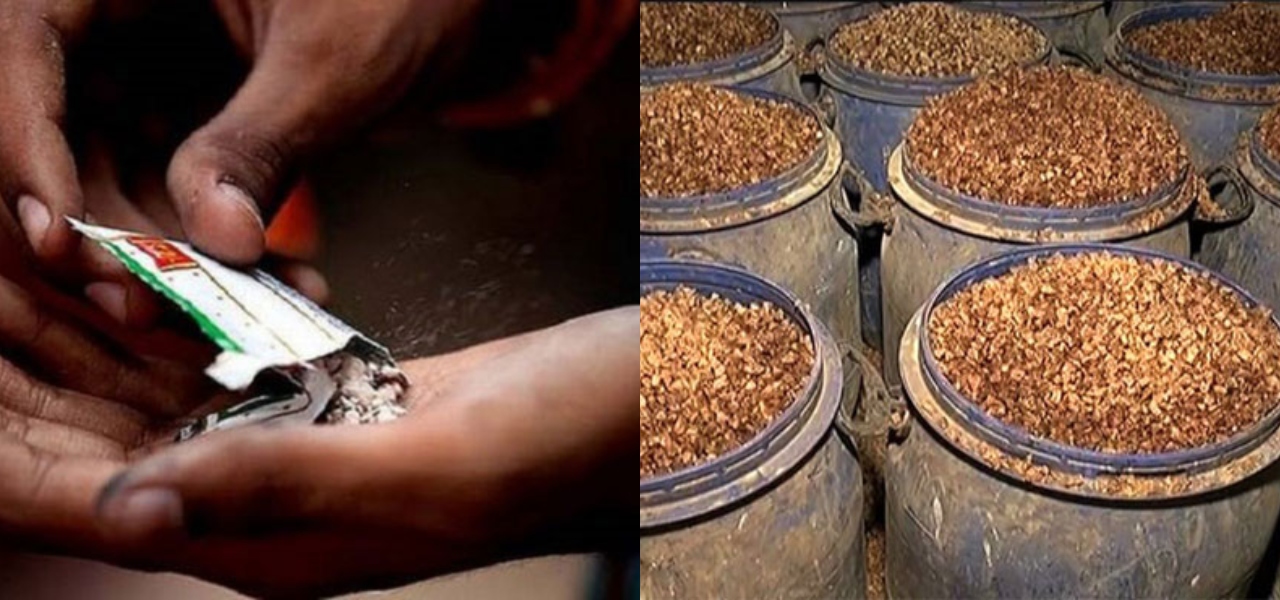 Chewing Gutka In Sindh Will Lead To 6 Years Of Jail & Upto 2 Lac Rs Fine!
