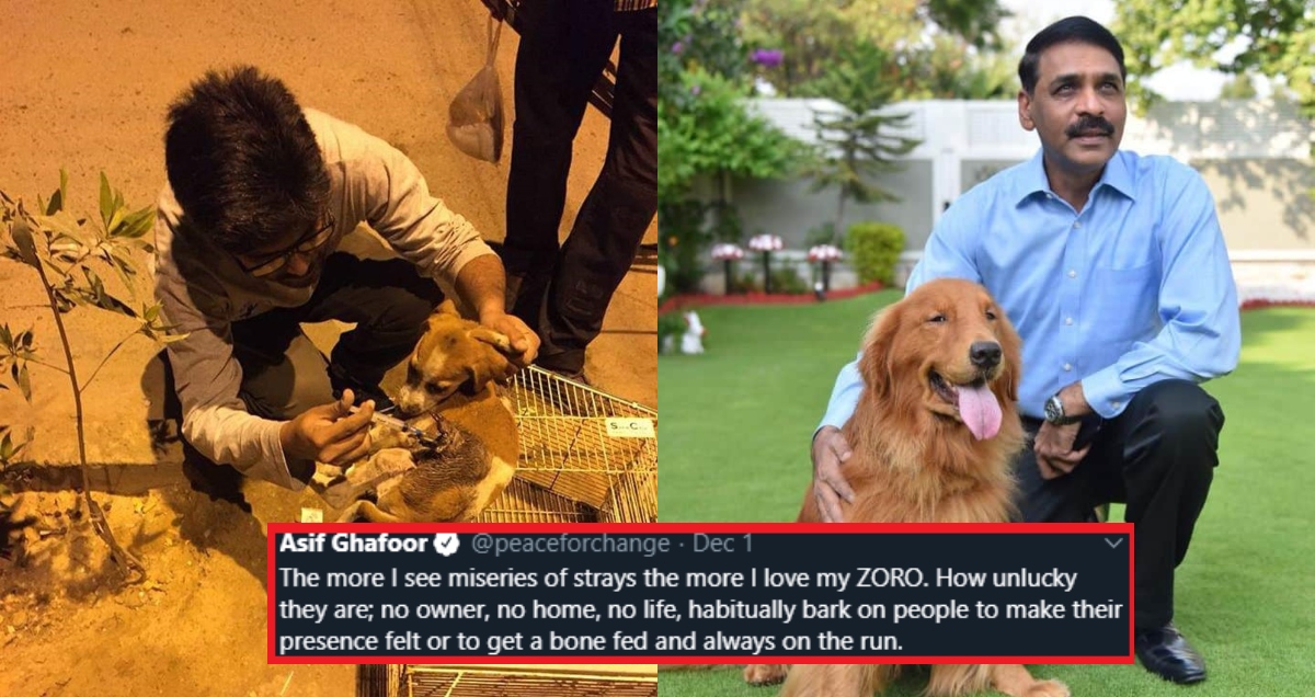 Stray Animals Get A Chance Of Survival With SOS Pakistan's New App