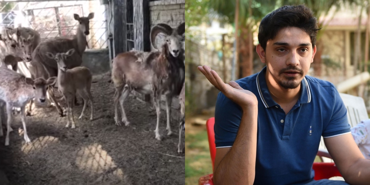 This Pakistani Has A Mini-Zoo Inside His House With Dozens Of Exotic ...