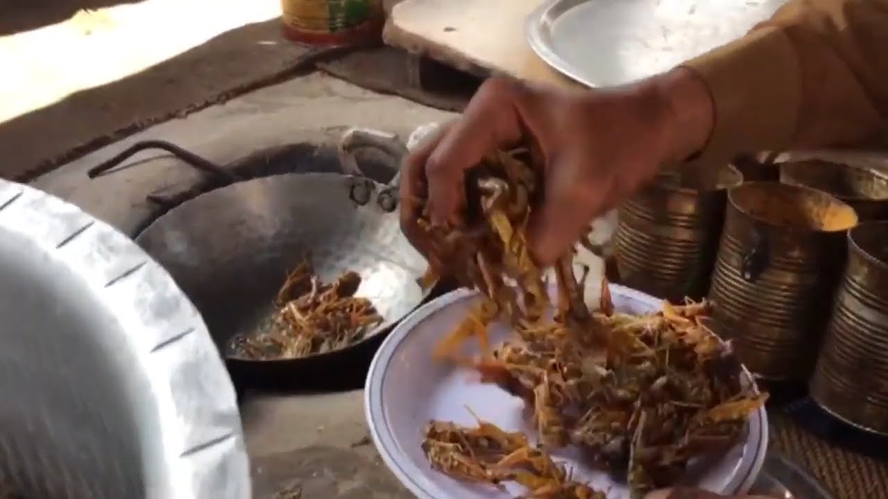 Pakistanis Feasting On Tiddi Biryani & Tiddi Karahi To Battle Their ...