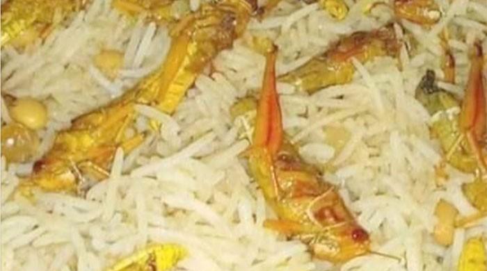 Pakistanis Feasting On Tiddi Biryani & Tiddi Karahi To Battle Their ...
