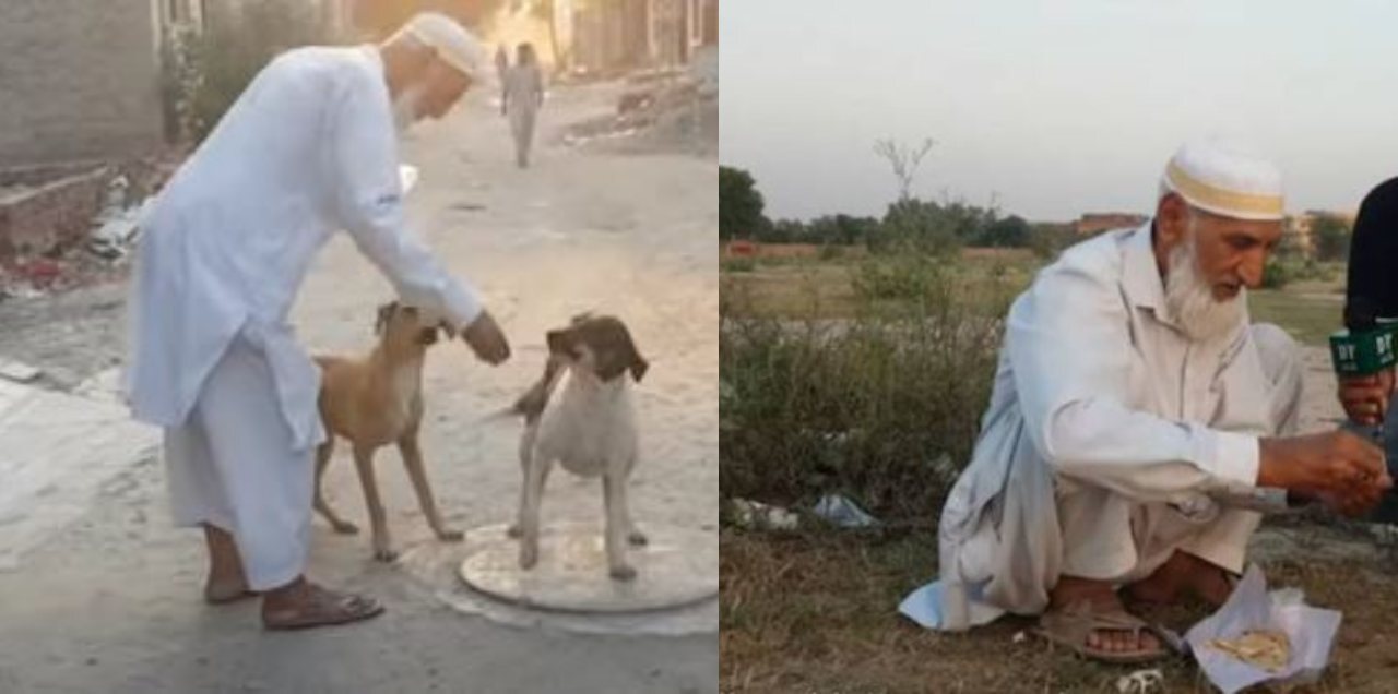 Pakistani Man Who Has Been Feeding Stray Animals For 40 Years Expects ...