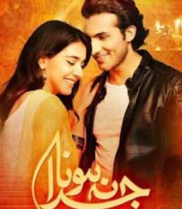 Shehroz Sabzwari- Biography, Career & Personal Life