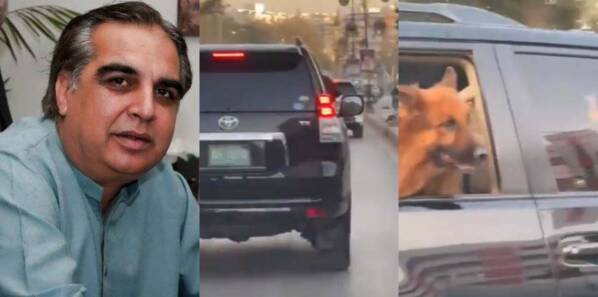 Tuada Kutta Tommy, Sada Kutta Kutta! Sindh Governor’s Dog Enjoying ...