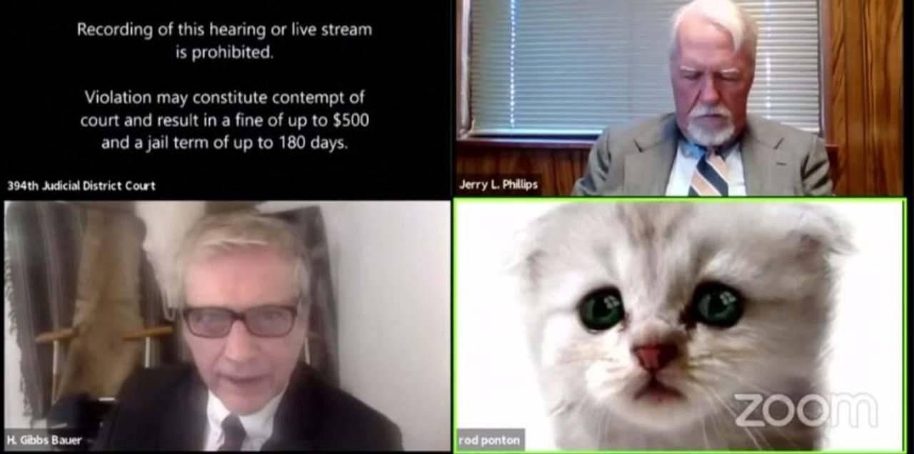 US Lawyer Accidentally Turns On 'Cat Filter' During Court Hearing Via Zoom