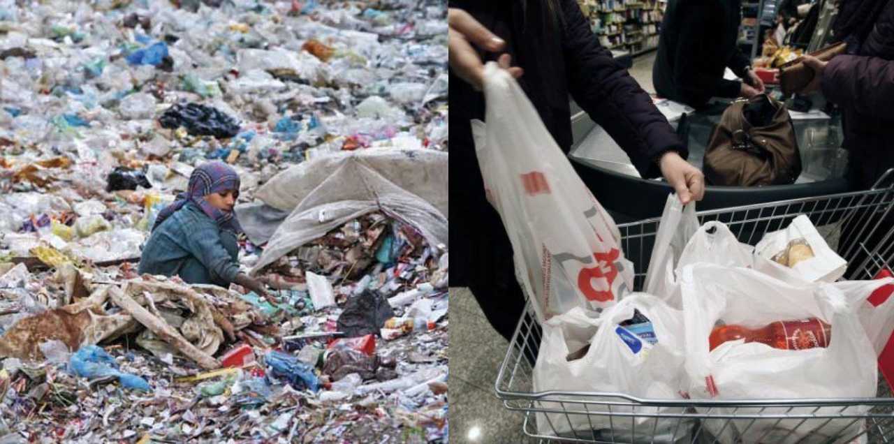 Here's Why Plastic Is Harming Our Environment!