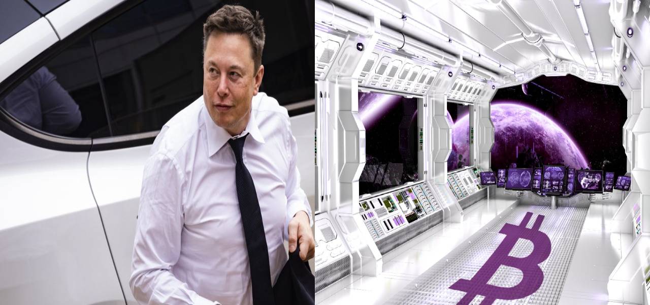 He Owns It All! Elon Musk Holds Space X, Tesla & Bitcoin