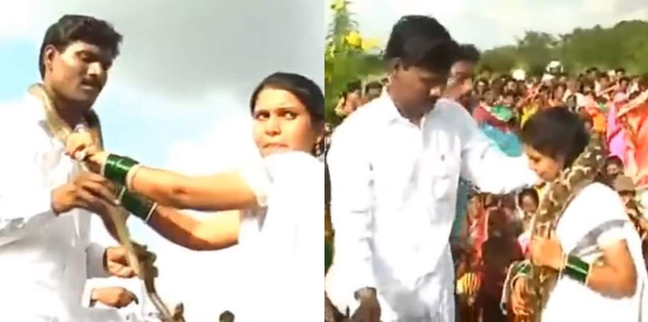 WATCH: Bride & Groom Exchange Snake Garlands Instead Of Flower On Their ...