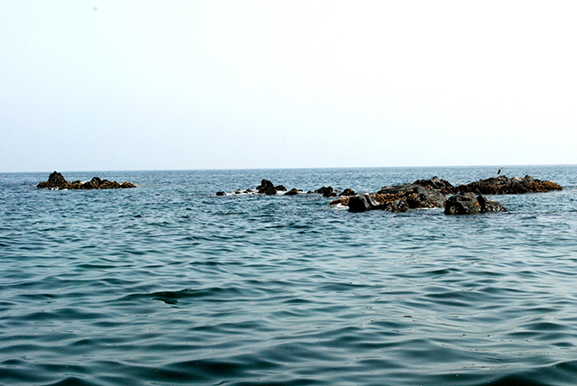 Dubai's Top 11 Scuba Diving Spots: Beautiful Places in Dubai