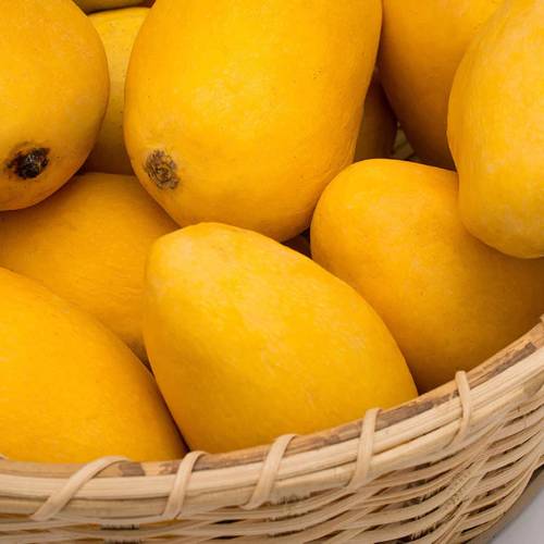 The King of Fruits: List of The 7 Types of Mangoes in Pakistan