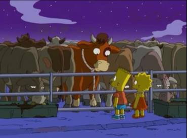 Red heifers in Middle East conflict, echoed by Simpsons' "Apocalypse ...