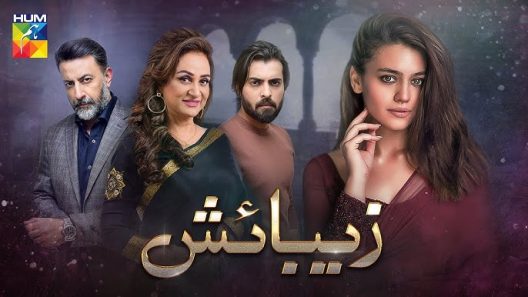 Bushra Ansari Biography, Date Of Birth, Career and Personal Life